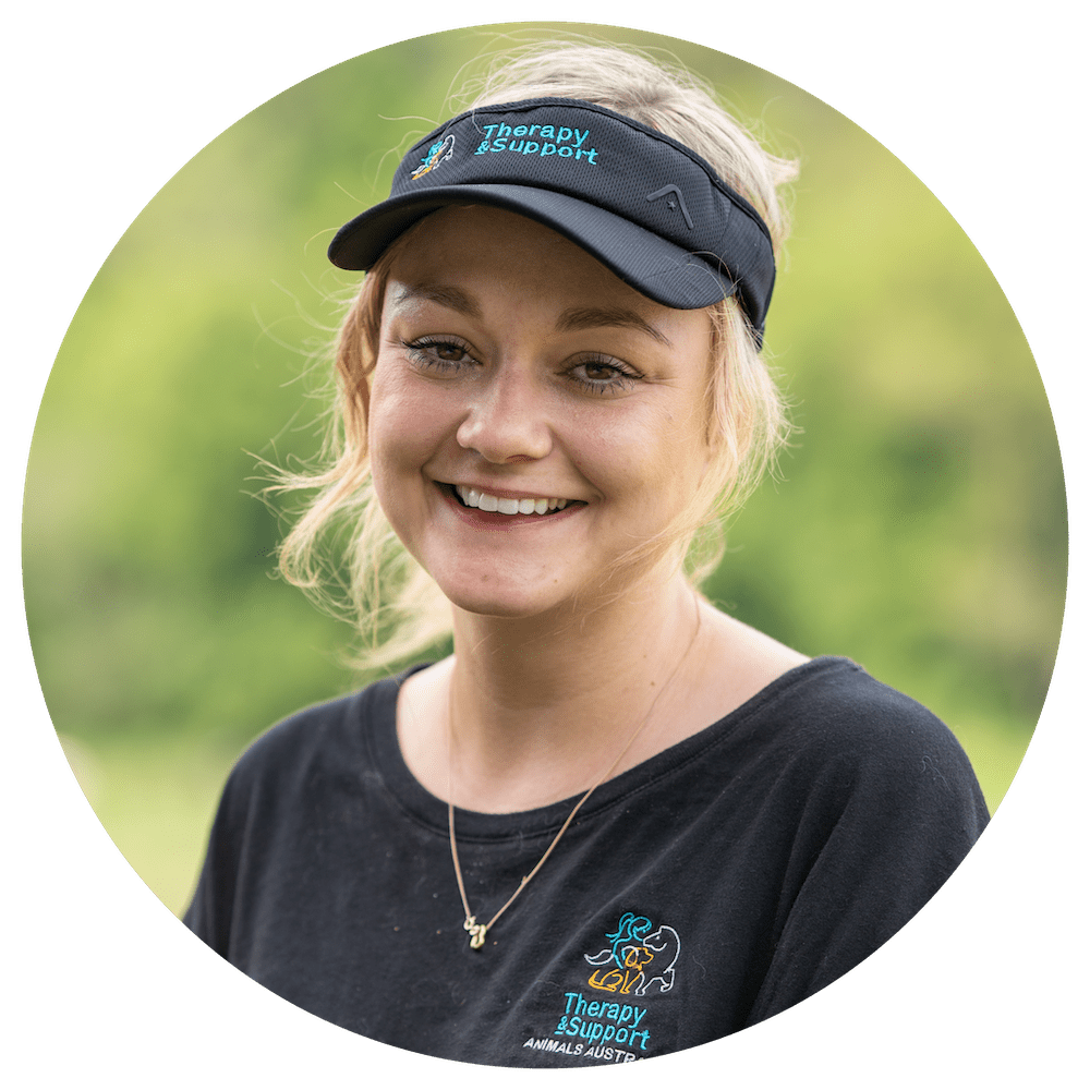 Premier Dog Trainer Brisbane TASAA Dog Training Specialists