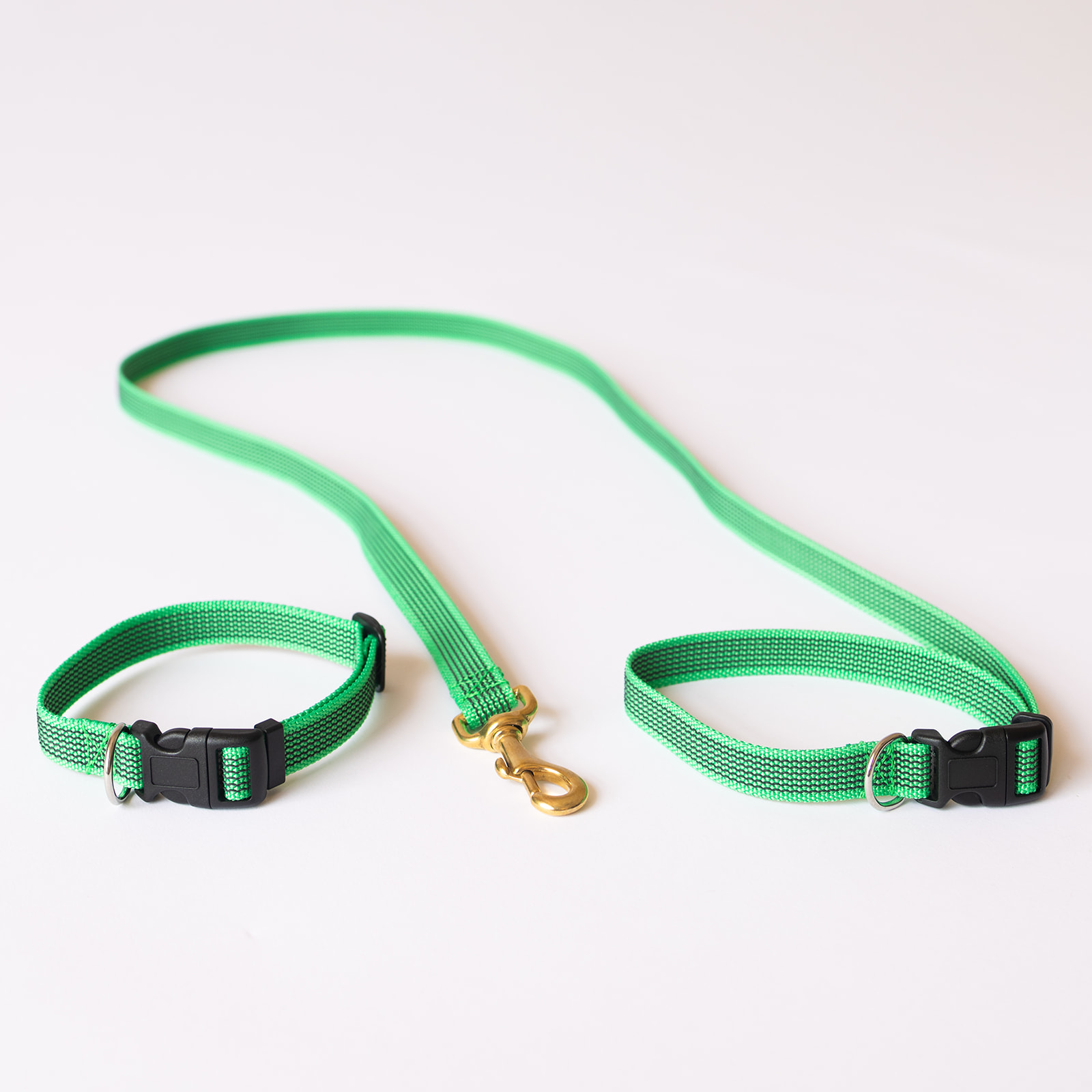 TASAA Collar and Lead Set - Therapy & Support Animals Australia (TASAA)