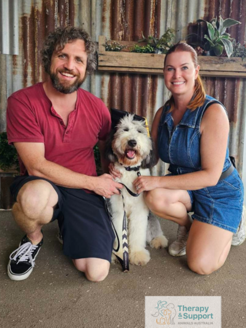 Therapy Dog Training & Dog Handler Certification | TASAA